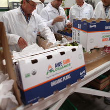 Awe Sum Organics | Products Overview